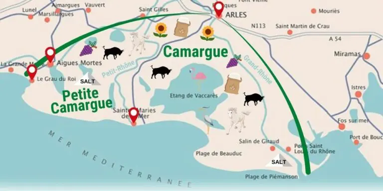 Camargue: Must See Area of Southern France That Will Surprise You ...